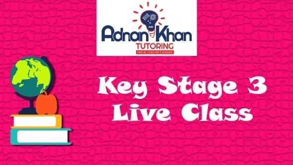 Live Lessons | Weekly One-to-One and Group Classes