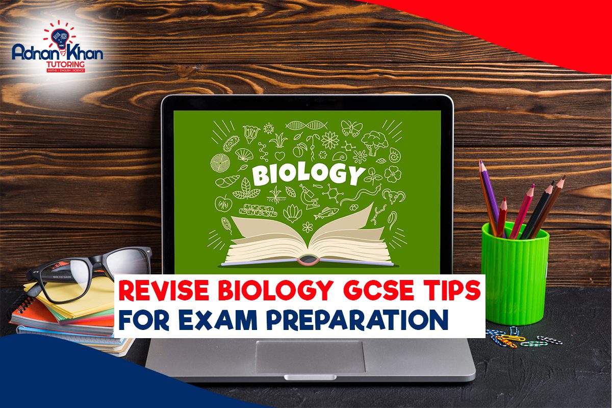 Revise Biology GCSE - Essential Tips For Exam Preparation